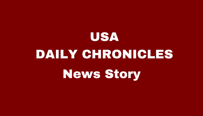 RUBY REI IS A GAME CHANGER FOR LANGUAGE LEARNERS - USA Daily Chronicles